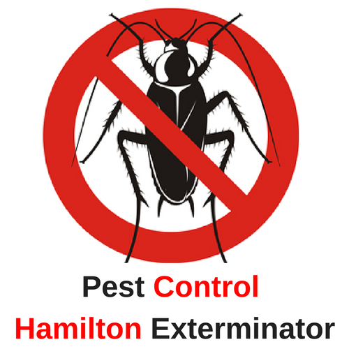 Pest Control Hamilton Exterminator ~ 647-559-1740 ~ 100% Guaranteed